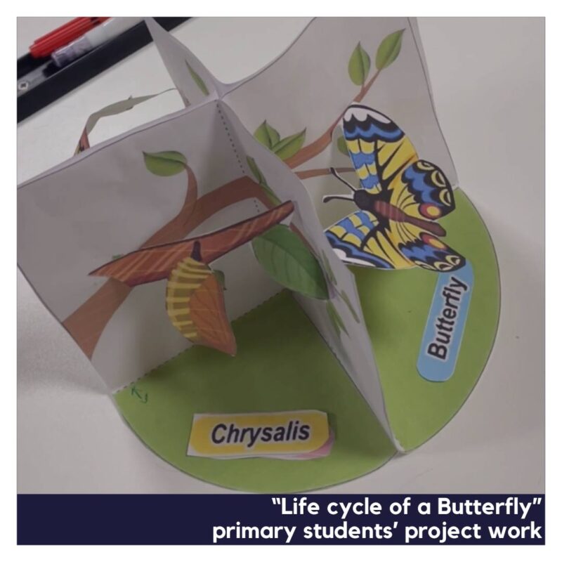 Life Cycle of a Butterfly Project - Lviv British School